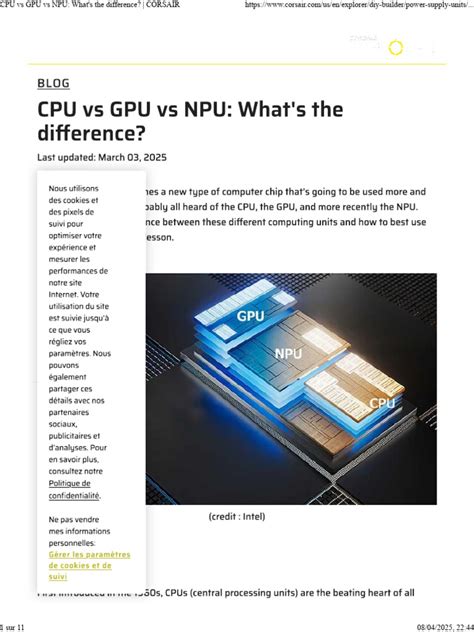 Cpu Vs Gpu Vs Npu Whats The Difference Corsair Pdf Computer