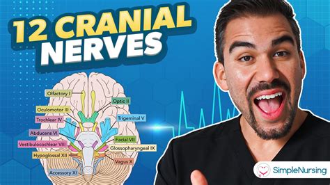 The 12 Cranial Nerves Head And Neck Health Assessment For Nurses Youtube