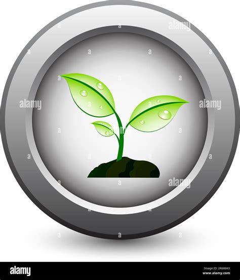Vector Plant Inside A Button Stock Vector Image And Art Alamy