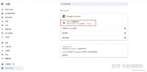 使用selenium操作自动化，但是chrome无法启动，需要安装浏览器对应版本的chromedriverselenium打不开谷歌浏览器