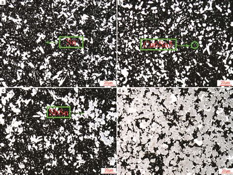Microstructure Of Tin Based Babbit At Different Layer Thickness A