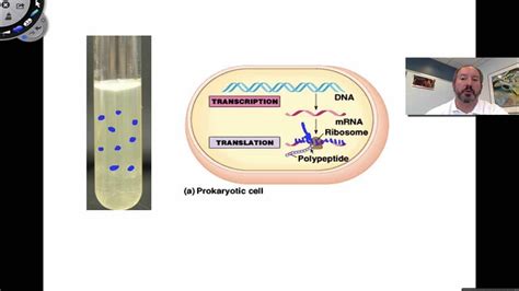 Cracking The Genetic Code Youtube