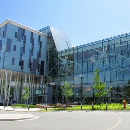 Ubc Djavad Mowafaghian Centre For Brain Health Fast Epp