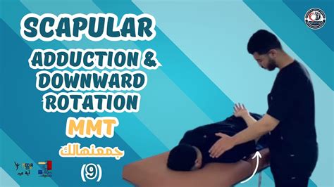 جمعنهالك Mmt Of Scapular Adduction And Downward Rotation Youtube