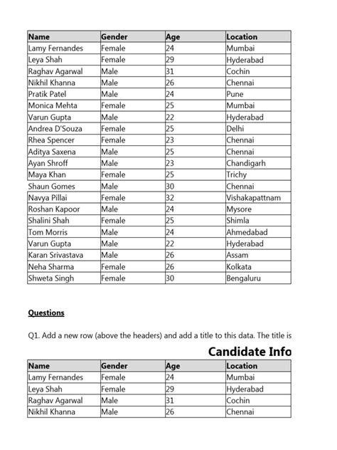 excel assignment 1 pdf