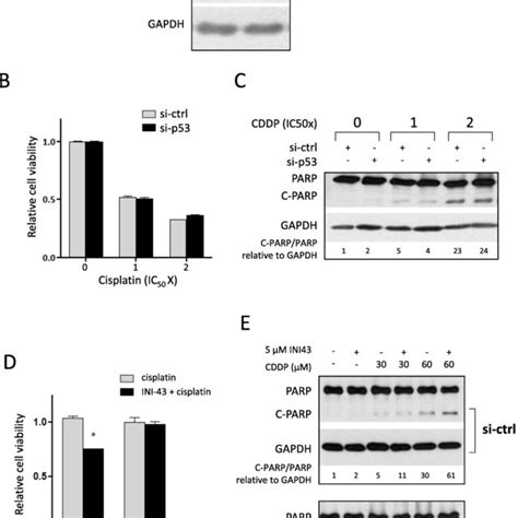 Combination Index Ci Evaluation Shows That Ini 43 And Cisplatin Download Scientific Diagram