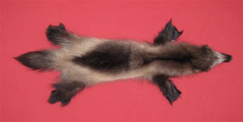 Tanned Furs Wolverine 7505 0272