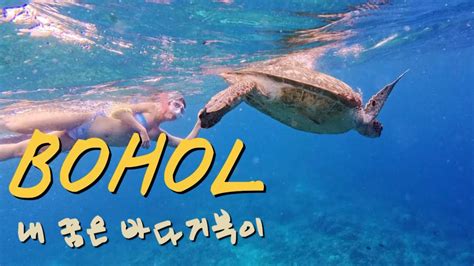 🇵🇭보홀 • 바다거북이랑 수영하기 Youtube