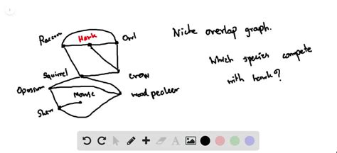 Use The Niche Overlap Graph In Figure 11 To Determine The Species That