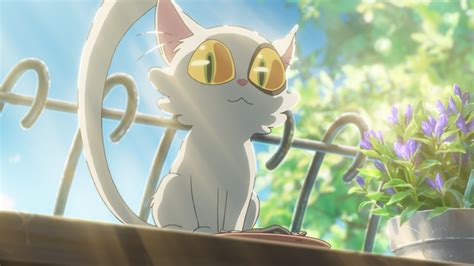 스즈메의 문단속 귀염뽀짝 고양이 스포탈코리아