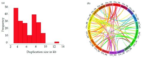 Dotplot Showing An Example Of Duplications Between Two Genomic Regions Download Scientific