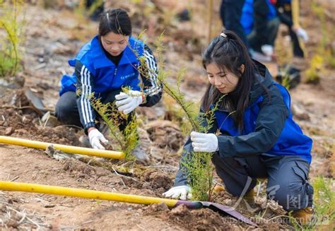 湖北宜昌：3000株珍稀濒危植物回归三峡库区 人民图片网