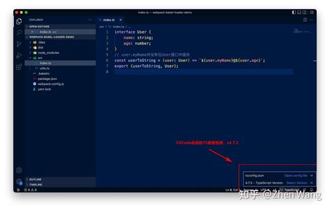 【长文详解】typescript与babel、webpack的关系以及ide对ts的类型检查 知乎