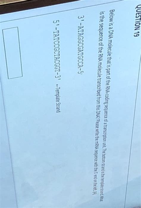 Solved QUESTION Below Is A DNA Molecule That Is Part Of Chegg