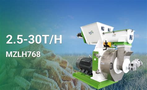 25 30th Ce Biomass Pellet Making Machine Richi Machinery