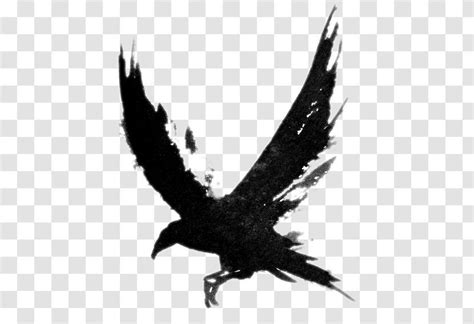 Common Raven Tattoo Bird Drawing Clip Art Fauna Flying Crow Png