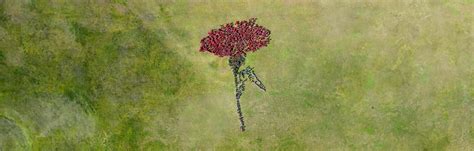 Município De Fafe Promove O Prémio De História Local “câmara Municipal De Fafe”