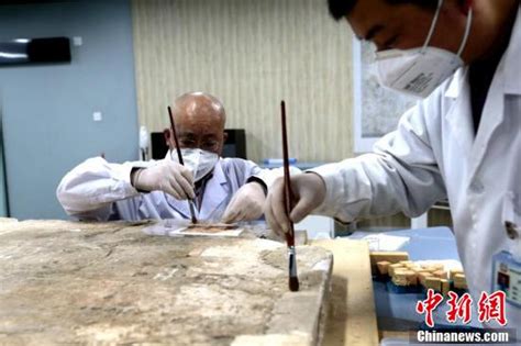 探访陕西历史博物馆的“透明”文物修复室 凤凰网