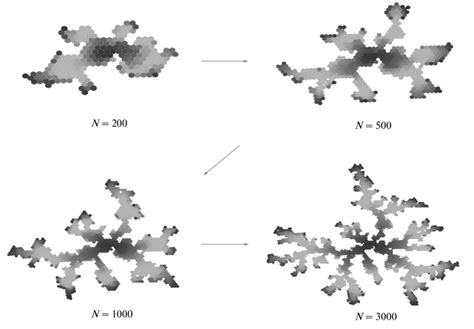 Evolution Of The Structure Of Rearranged Fractal During Growth