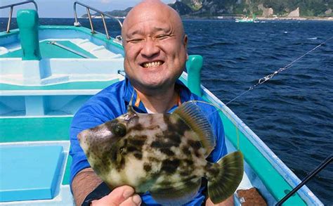 東京湾船カワハギ釣りで25cm頭にトップ8尾 上げ潮で状況好転 Tsurinews