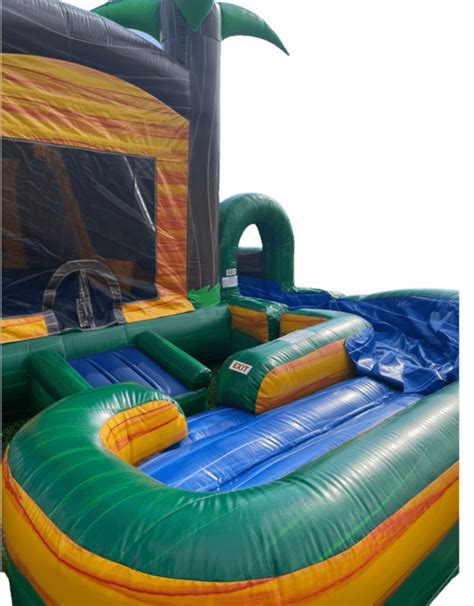 Paradise Palms Bounce Slide Combo Dry Wet Capable Empire Events Nj