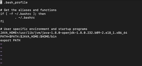 Install Java On EC2 THE NUCLEAR GEEKS