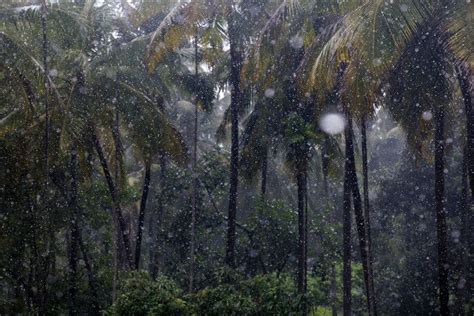 Parth Chavan On Linkedin Nature Naturephotography Naturelovers