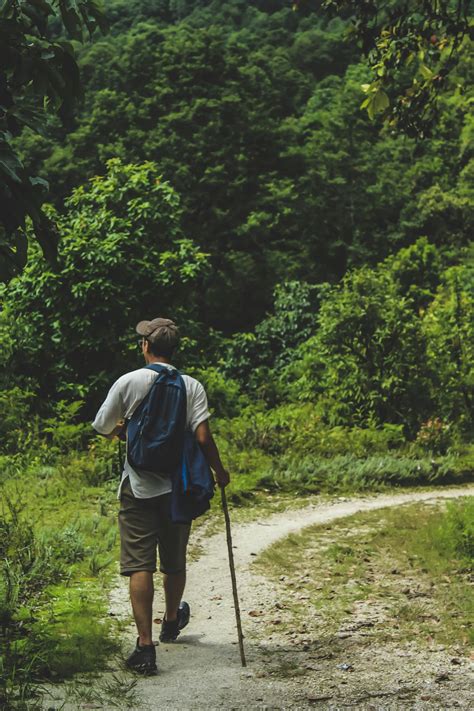 Kostenloses Foto Zum Thema Abenteuer Bäume Berg