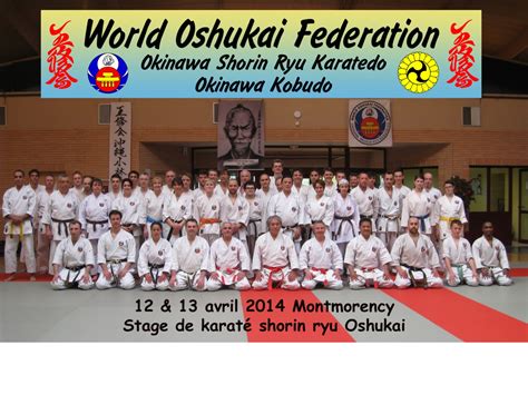 Stage National De Karate Oshukai à Montmorency Oshukaï France