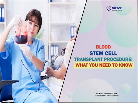 Blood Stem Cell Transplant Procedure What You Need To Know