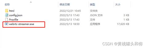 Vuewebrtc Streamer：网页实时播放rtsp视频流实战 Csdn博客