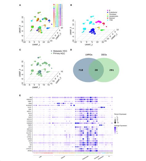 data profiling of the gse149614 cohort by scrna seq a c samples from