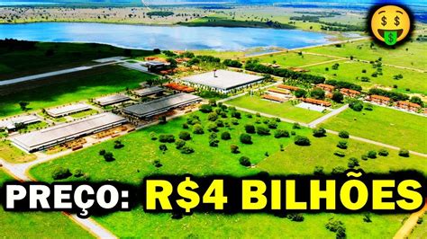 A FAZENDA MAIS CARA DO BRASIL YouTube