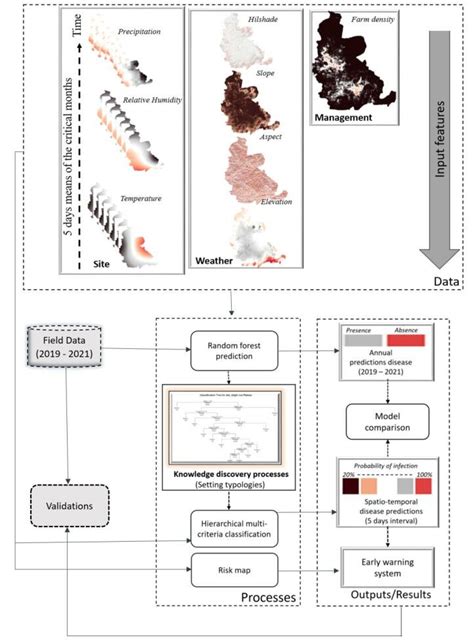 Workflow For The Analysis Download Scientific Diagram