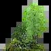 手绘花朵绿叶3D灌木丛元素 花瓣网