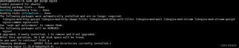 Ubuntu Nginx Csdn