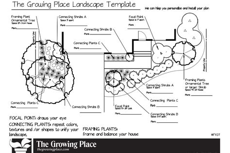 Master The Art Of Planting Trees And Shrubs The Growing Place