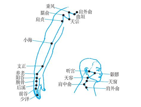 六 手太阳小肠经 中医学 医学