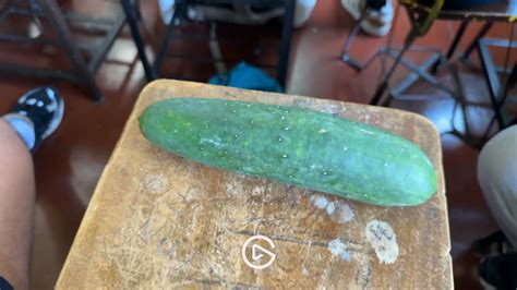 section 4 5 robotics object detection dataset and pre trained model by