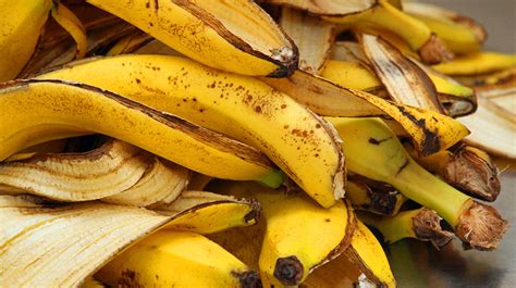 Cáscara de plátano descubre todo lo que puedes hacer Cocina Fácil