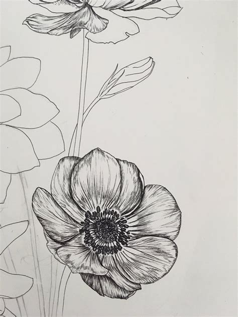 채마담 On Twitter 아네모네 꽃그림 일러스트 탄생화 야생화 펜화 드로잉 보태니컬 꽃무늬