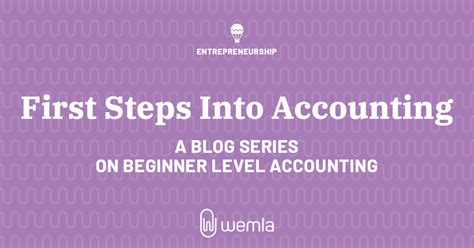 First Steps Into Accounting Wemla