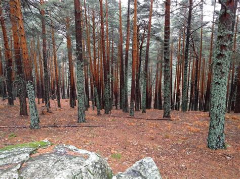 Debugging Php Email With Mailhog Lullabot