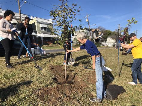 greening southside — southside releaf