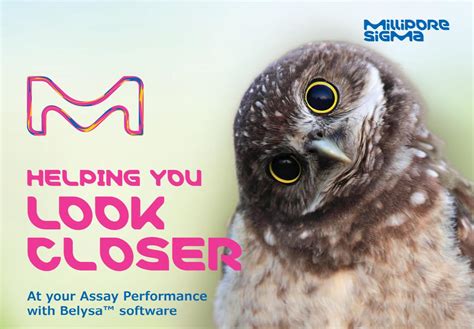 Jennifer Eich On Linkedin Great Upcoming Webinar This Thursday