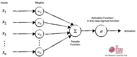An Introduction To The Sigmoid Function The Research Scientist Pod