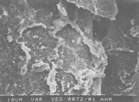 Amorphous Silicate Gel And Infiltrated Dust Particles Forming Meniscus