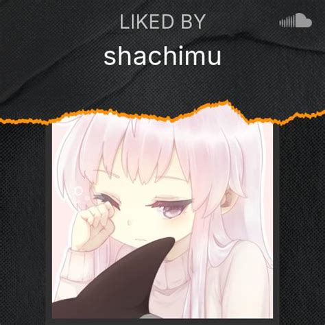 Shachimus Picks Listen To Music