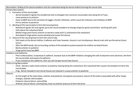 Neuraltion Summary Notes Neurulation Folding Of The Dorsal Ectoderm Into The Notochord