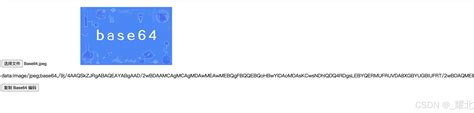 前端图片转base64编码 前端转base64 csdn博客